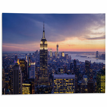 New york Area Rugs & Floor Mats