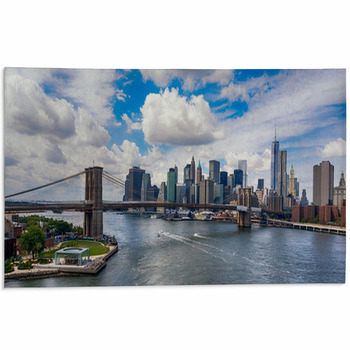 New york Area Rugs & Floor Mats