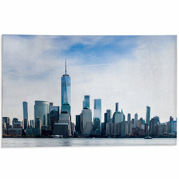 New york Area Rugs & Floor Mats