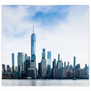 New york Area Rugs & Floor Mats