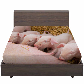 Pig Comforters, Duvets, Sheets & Sets | Custom