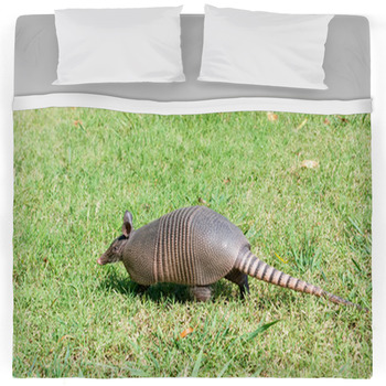 Armadillo Bedding | Comforters, Duvet Covers, Sheets & Bed Sets ...