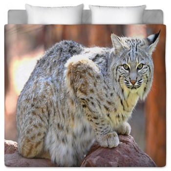 Bobcat Comforters, Duvets, Sheets & Sets | Personalized