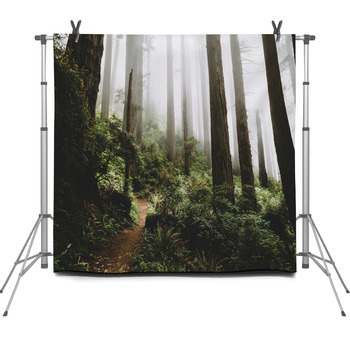 Redwood Photo Backdrops | Available in nearly ANY Custom Sizes