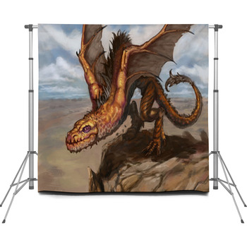 Dragon Photographer Backdrops | Available in Ultra Large Custom Sizes
