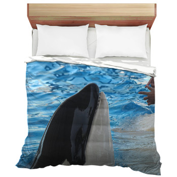 Whale Comforters, Duvets, Sheets & Sets | Personalized