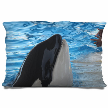 Whale Comforters, Duvets, Sheets & Sets | Personalized