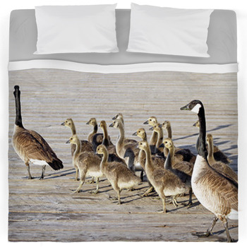 Goose Comforters, Duvets, Sheets & Sets | Custom