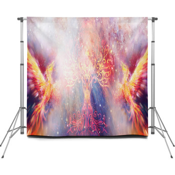 Phoenix Photographer Backdrops | Available in Super Large Custom Sizes