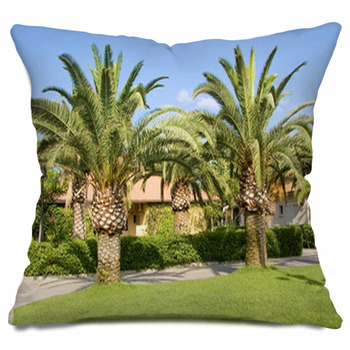 Palm tree Throw Pillows, & Shams