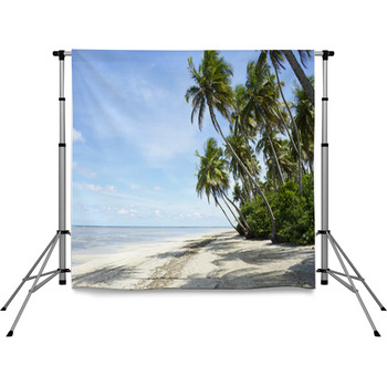 Palm tree Custom Backdrops | Available in Ultra Large Custom Sizes