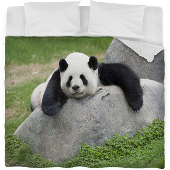 Panda Comforters, Duvets, Sheets & Sets | Personalized