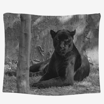 Panther Custom Size | Available in nearly ANY Custom Sizes