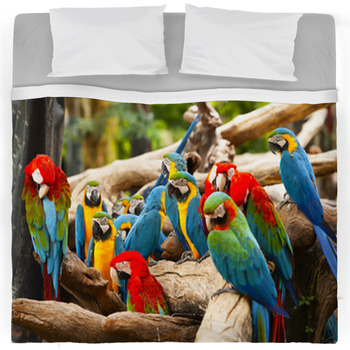 Parrot Comforters, Duvets, Sheets & Sets | Personalized