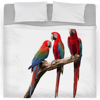 Parrot Comforters, Duvets, Sheets & Sets | Personalized