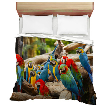 Parrot Comforters, Duvets, Sheets & Sets | Personalized
