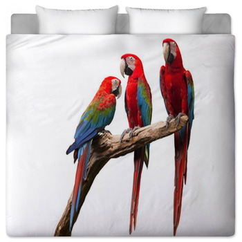 Parrot Comforters, Duvets, Sheets & Sets | Personalized