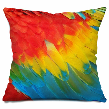 Feather Throw Pillows, Cases