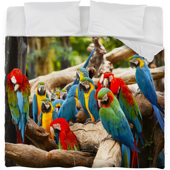 Parrot Comforters, Duvets, Sheets & Sets | Personalized