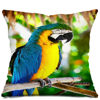 Parrot Throw Pillows, Shams & Pillow Cases