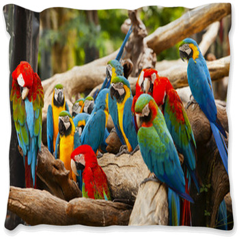 Parrot Bedding | Comforters, Duvet Covers, Sheets & Bed Sets | Personalized
