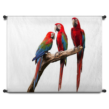 Parrot Wall Decor in Canvas, Murals, Tapestries, Posters & More