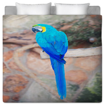 Parrot Comforters, Duvets, Sheets & Sets | Personalized