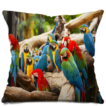 Parrot Throw Pillows, Cases, & Shams
