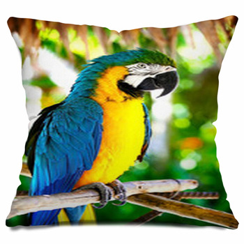 Parrot Throw Pillows, Shams & Pillow Cases