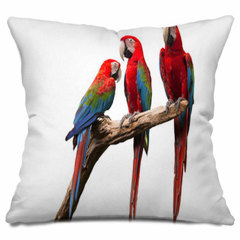 Parrot Throw Pillows, Shams & Pillow Cases