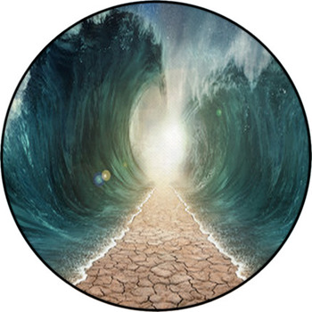 Ocean Rugs & Custom Size Floor Mats