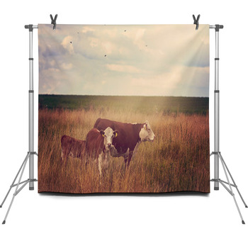 Farm animal Custom Backdrops | Available in Very Large Custom Sizes