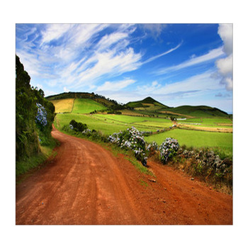 Country Wall Decor | Murals | Tapestry | Posters | Custom Sizes