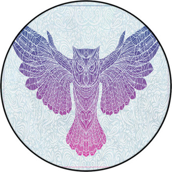 Owl Area Rugs & Custom Size Floor Mats