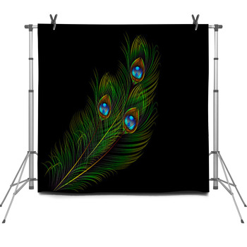 Peacock Photographer Backdrops | Available in nearly ANY Custom Sizes