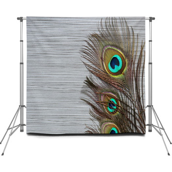 Peacock Photographer Backdrops | Available in nearly ANY Custom Sizes