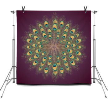 Peacock Photographer Backdrops | Available in nearly ANY Custom Sizes
