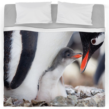 Penguin Comforters, Duvets, Sheets & Sets | Custom