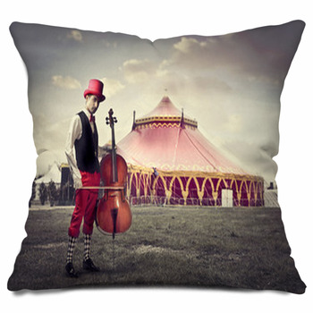Circus Throw Pillows, & Shams