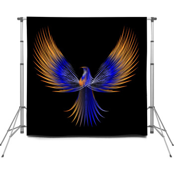 Phoenix Photographer Backdrops | Available in Super Large Custom Sizes