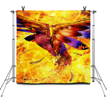 Phoenix Photographer Backdrops | Available in Super Large Custom Sizes