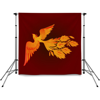 Phoenix Photographer Backdrops | Available in Super Large Custom Sizes