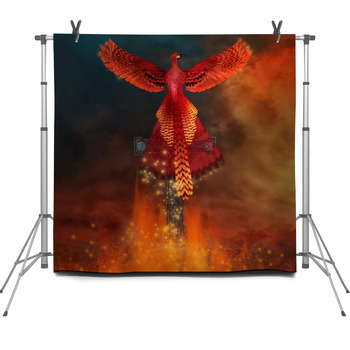 Phoenix Photographer Backdrops | Available in Super Large Custom Sizes