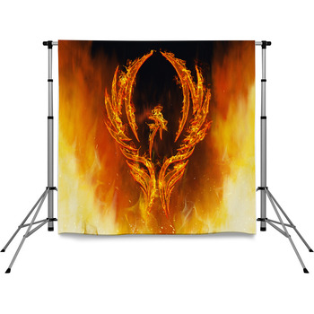 Phoenix Photographer Backdrops | Available in Super Large Custom Sizes