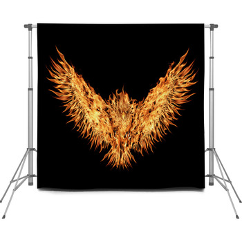 Phoenix Photographer Backdrops | Available in Super Large Custom Sizes