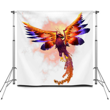 Phoenix Photographer Backdrops | Available in Super Large Custom Sizes