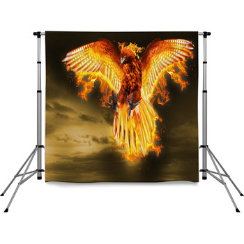 Phoenix Photographer Backdrops | Available in Super Large Custom Sizes