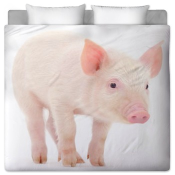 Animal Comforters, Duvets, Sheets & Sets | Personalized