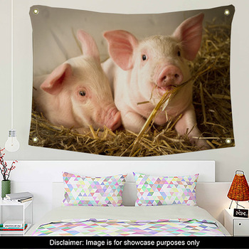 Pig Wall Decor | Murals | Tapestry | Posters | Custom Sizes