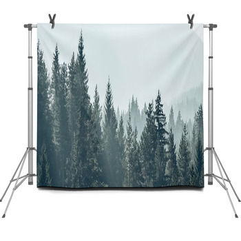 Forest Photographer Backdrops | Available in Ultra Large Custom Sizes